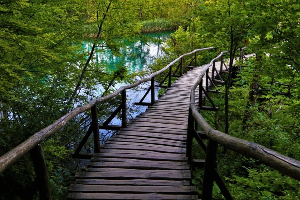 Disfruta la Naturaleza en Parque Natural de Redes